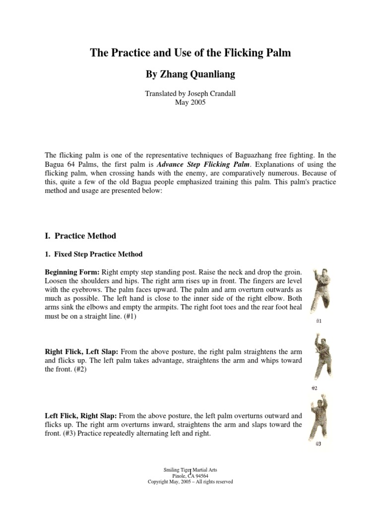 Flicking Palm PDF | PDF | Hand | Sports