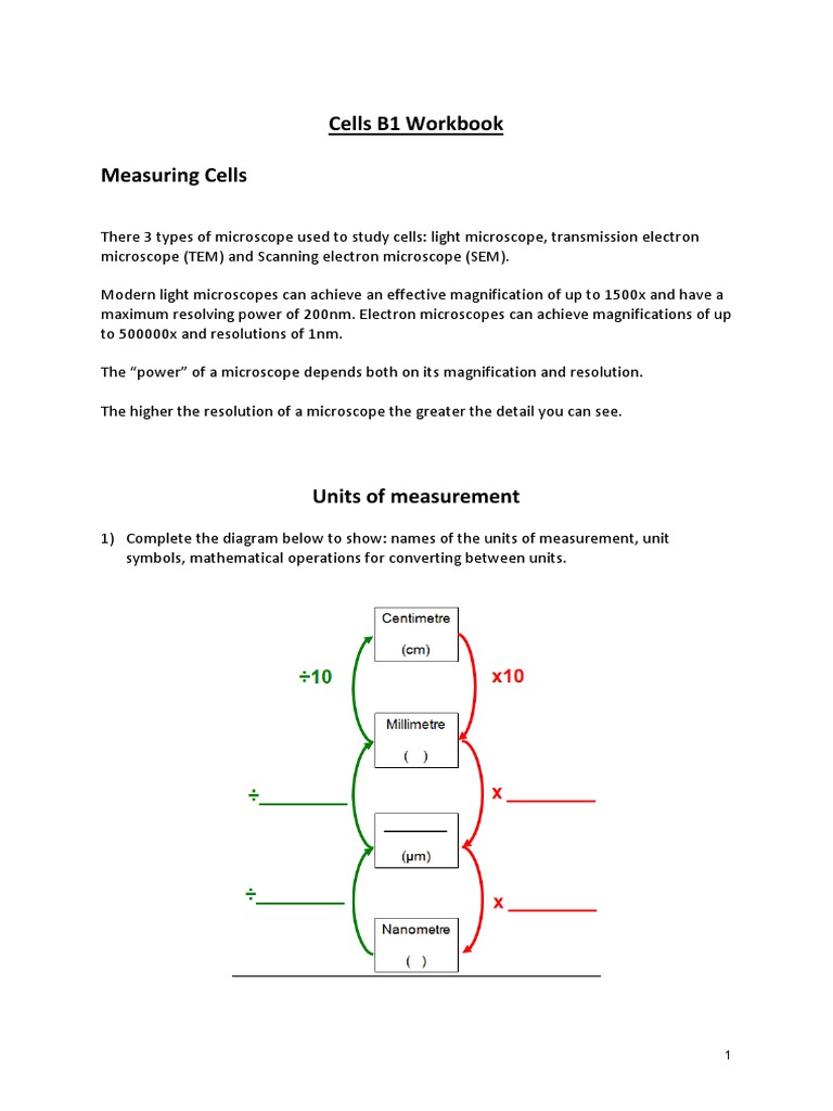 Measuring Cell Structures and Magnification | PDF | Prokaryote | Cell ...