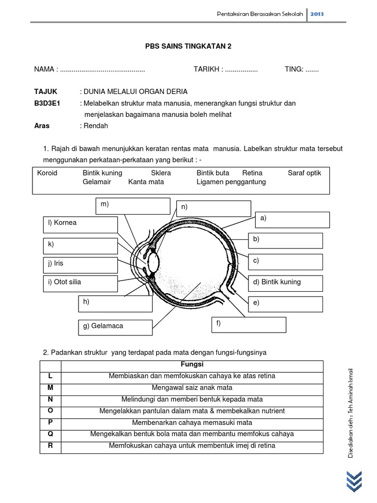 Sains Bab 1 Mata | PDF
