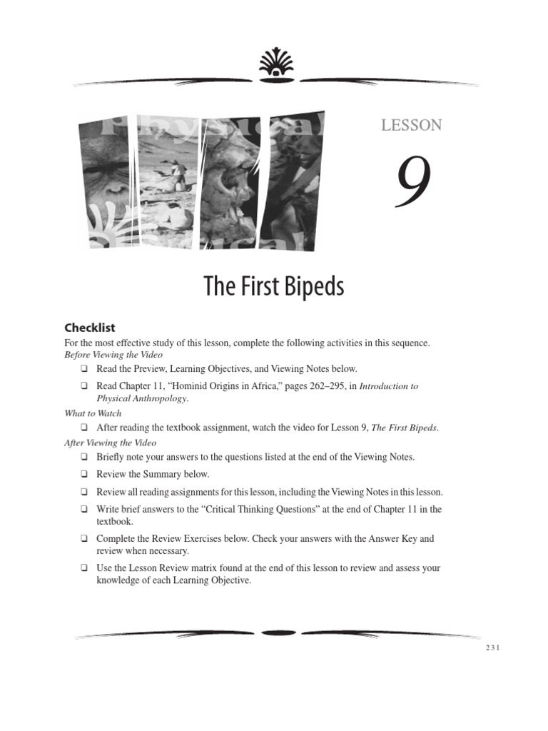 The First Bipeds | PDF | Bipedalism | Homo