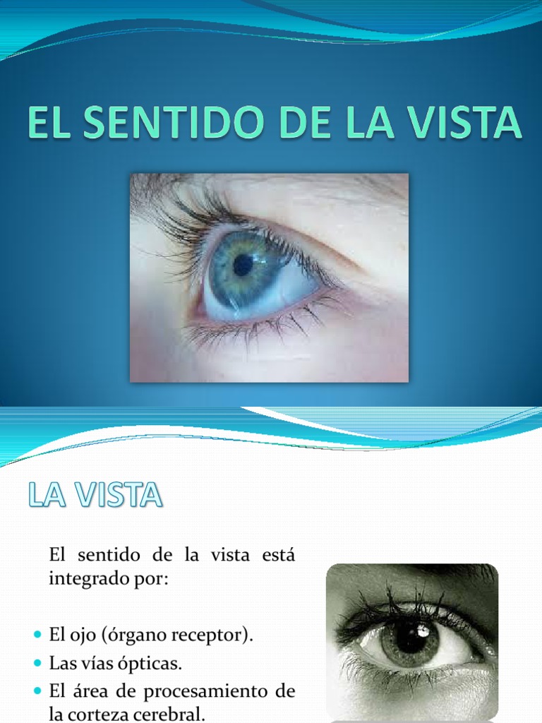 Estructura y Función del Ojo | PDF | Ojo humano | Ojo