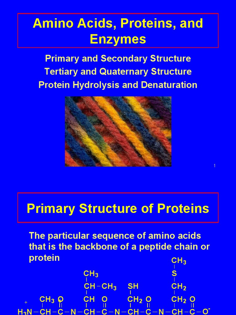 Protein Structure | Alpha Helix | Proteins