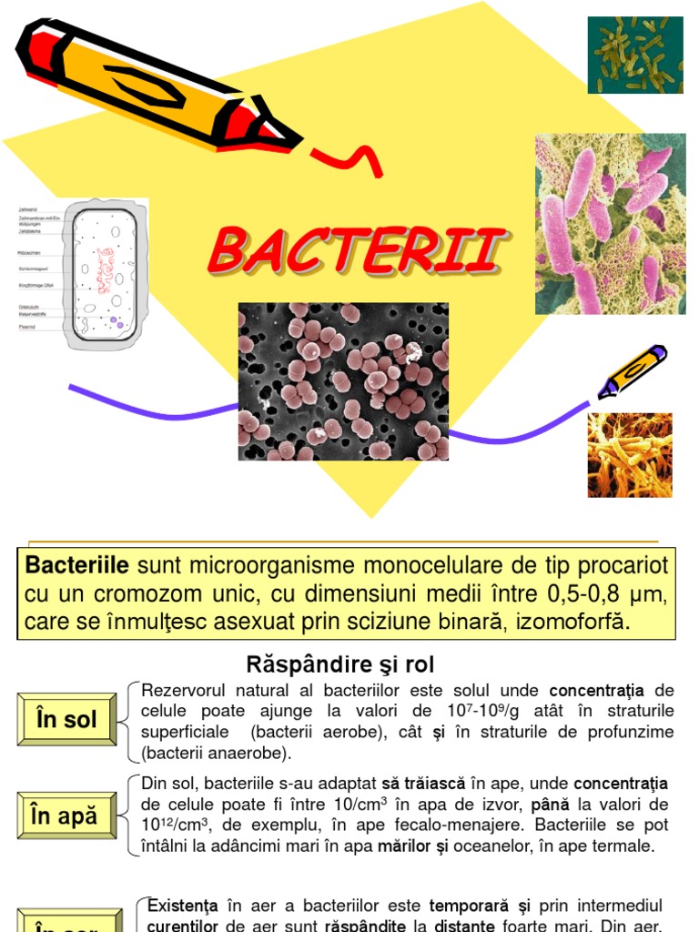 Microbiologie - Bacterii.ppt