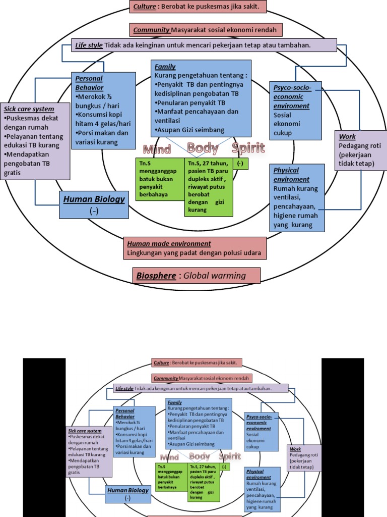 Mandala of Health | PDF