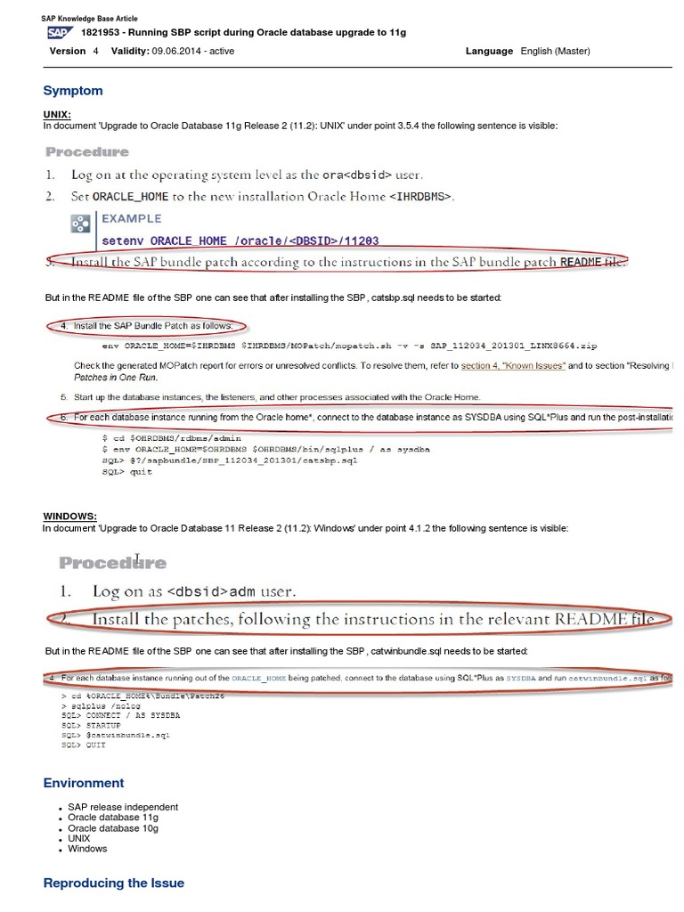 Running SBP Script During Oracle DB Upgrade | PDF | Oracle Database ...