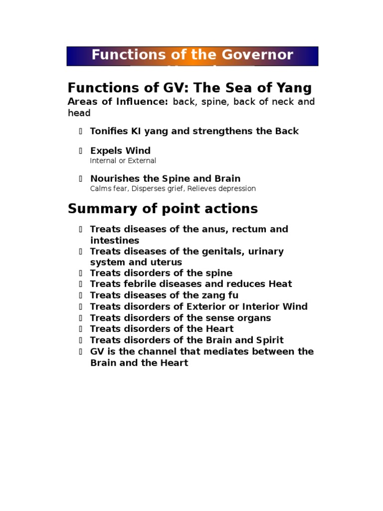 14 Governor Vessel | PDF | Vertebral Column | Muscle