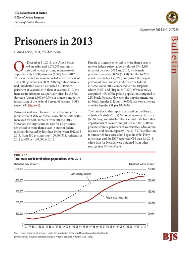 2013 Prisoner Information | PDF | Social Science