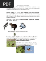 Fauna del Sur de Chile: Guía Esencial | PDF | Zoología