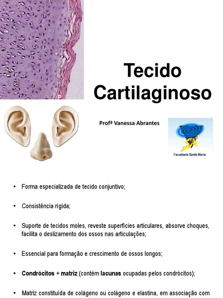 Tecido Cartilaginoso e Ósseo.pdf | Osso | Cartilagem