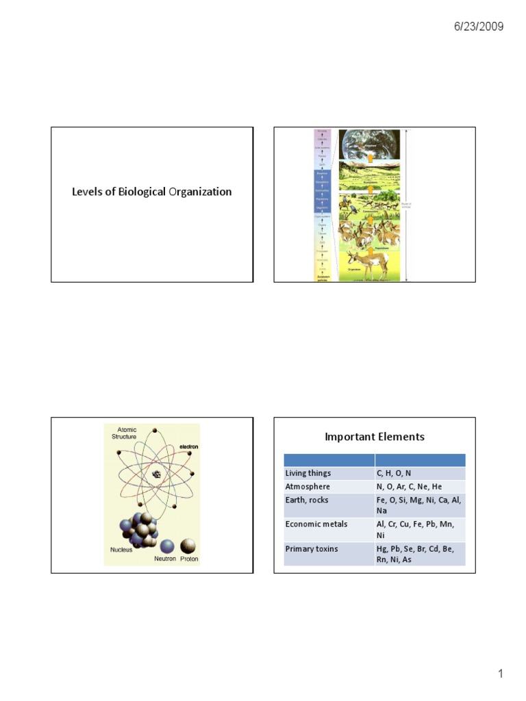 Levels of Biological Organization | PDF | Science & Mathematics