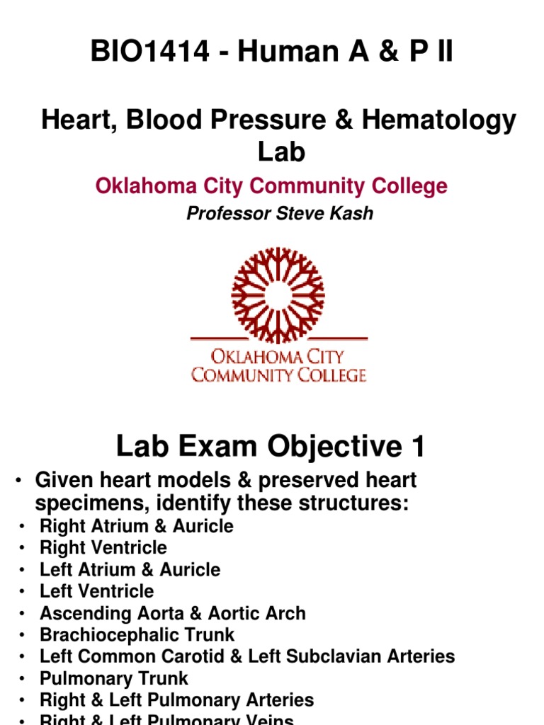 Anatomy and Physiology, Heart, BP and Hematology Labs Moodle | PDF ...