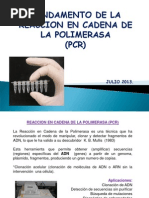 Medio MIO | PDF | Enzima | Química