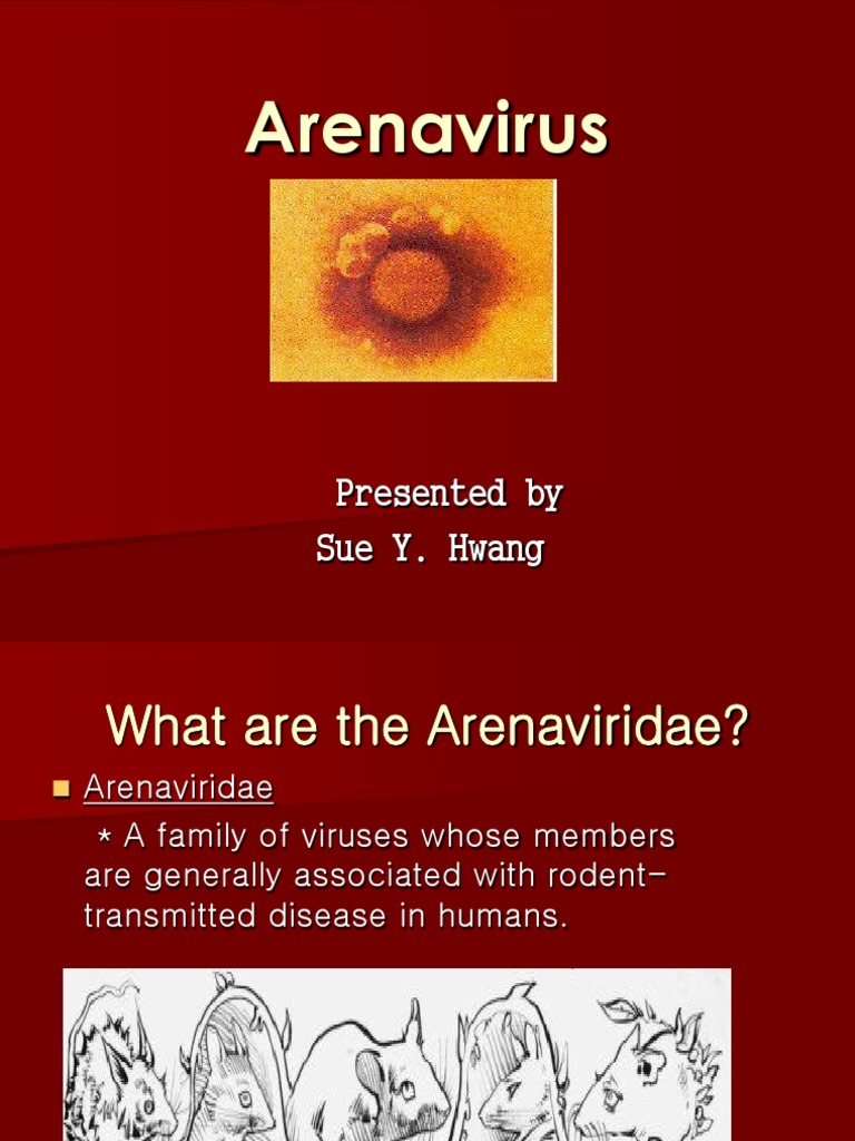 Arenavirus | PDF | Sense (Molecular Biology) | Virus
