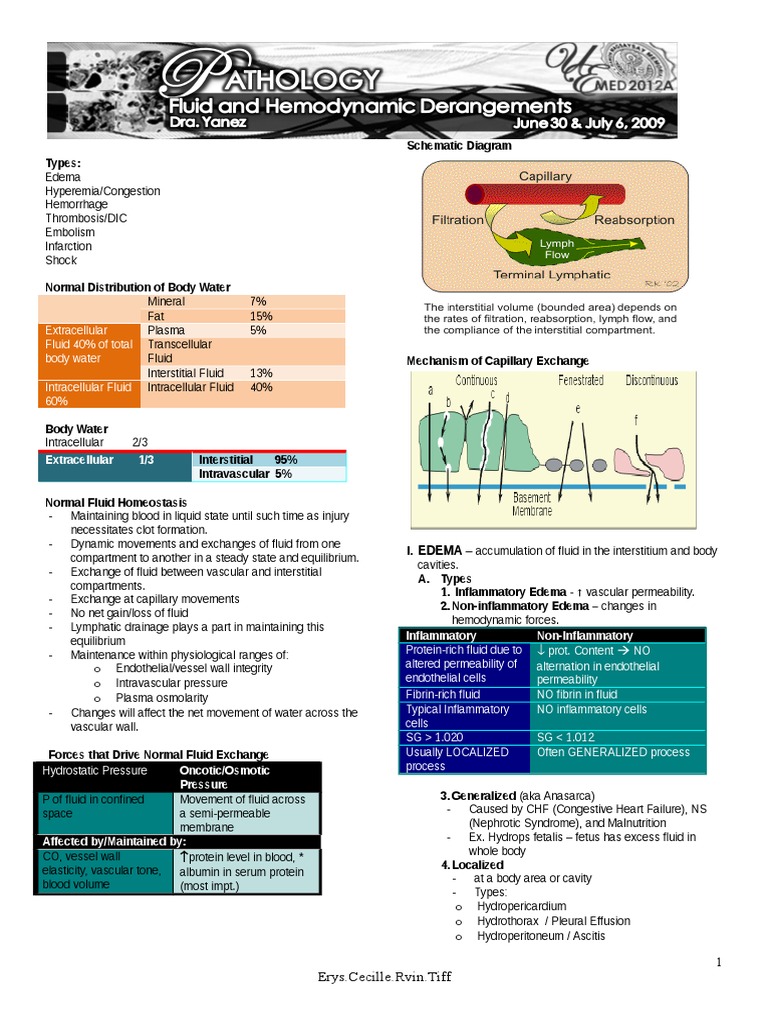 3 - Fluid and Hemodynamic Derangements FINAL | Download Free PDF | Body ...