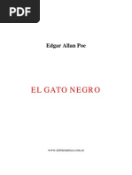 Análisis Literario Gato Negro | PDF | Cuentos | Edgar Allan Poe