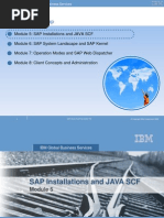 What Is Sap Ascs and Pas | PDF