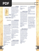 DND Borys | PDF
