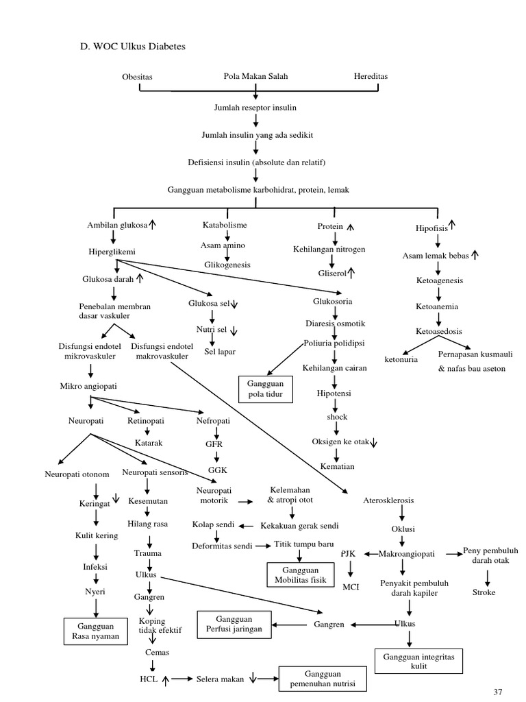 D. WOC Ulkus Diabetes | PDF