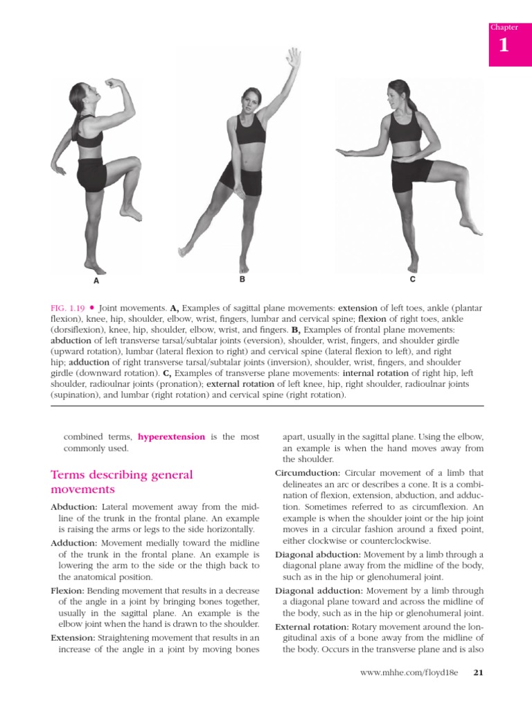 Joint Movement Terminology Explained | PDF | Anatomical Terms Of Motion ...