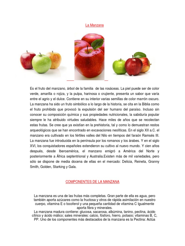 COMPONENTES DE LA MANZANA.docx | Antioxidante | Vitamina