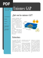 Funcion de Las Uniones GAP en La Union Interceluar | PDF | Biología ...