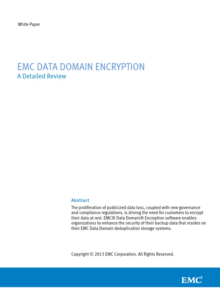 h11561 Data Domain Encryption WP | PDF | Encryption | Key (Cryptography)