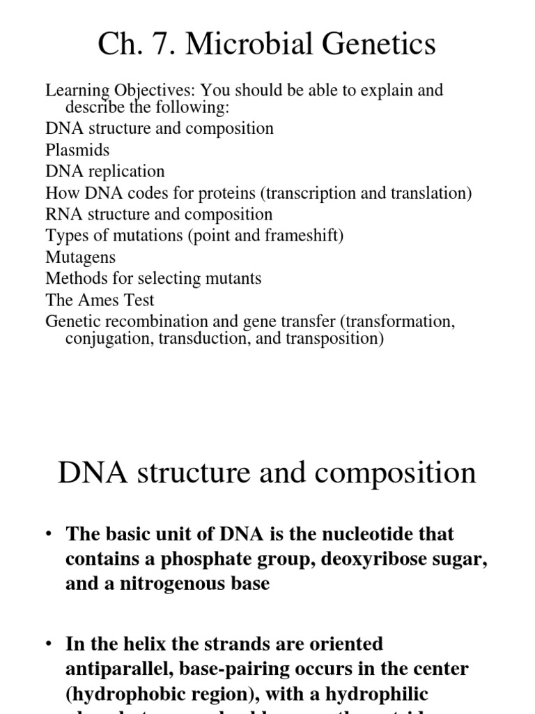 Ch. 7. Microbial Genetics | PDF | Dna | Mutation