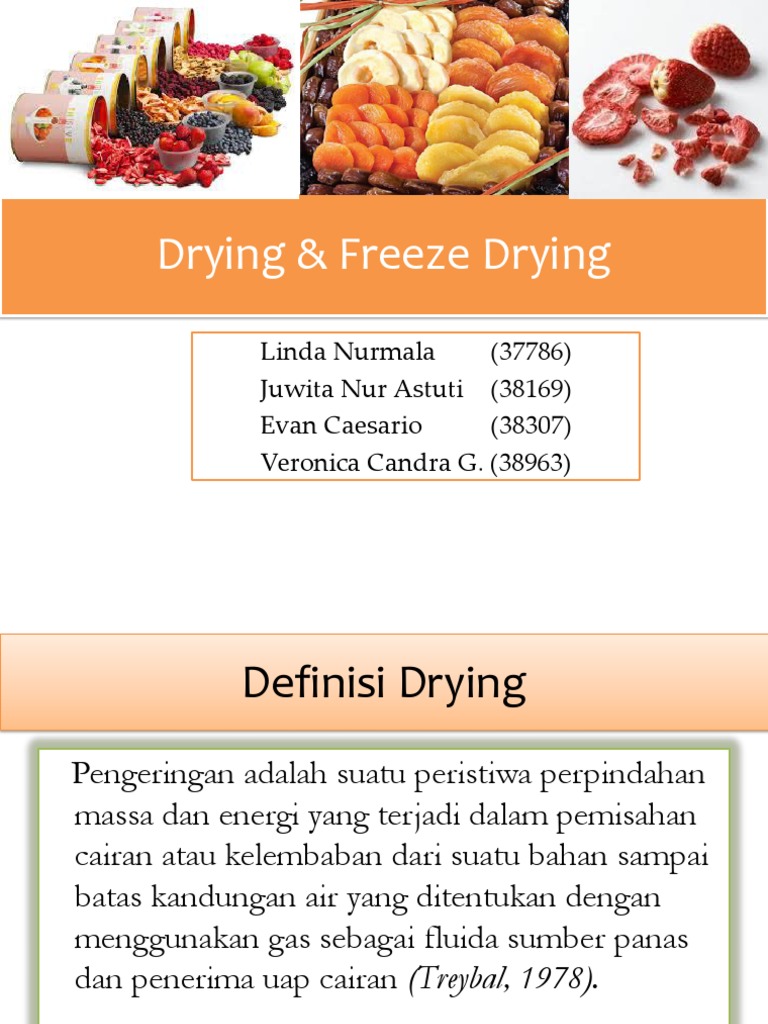 Freeze Drying | PDF