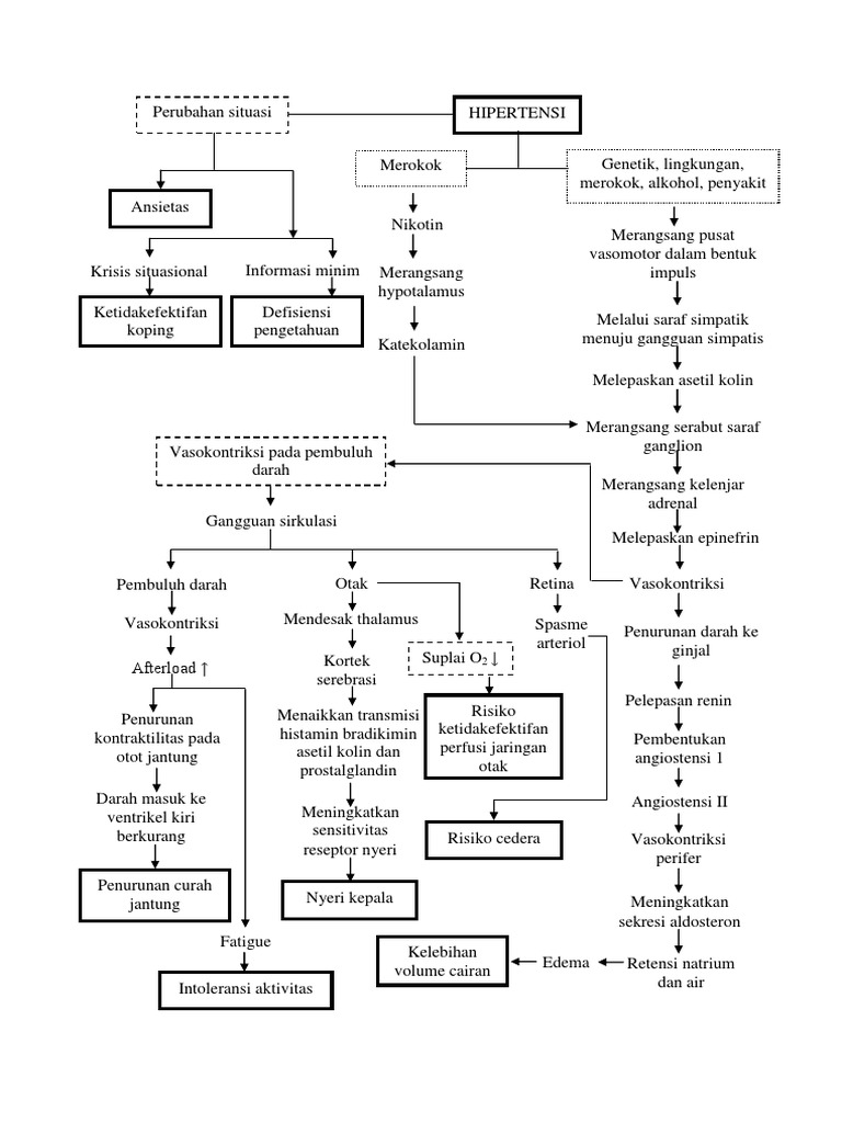 Pathway Hipertensi Made by Clarck | PDF