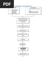 Cellulitis Pathophysiology | PDF | Inflammation | Medical Specialties