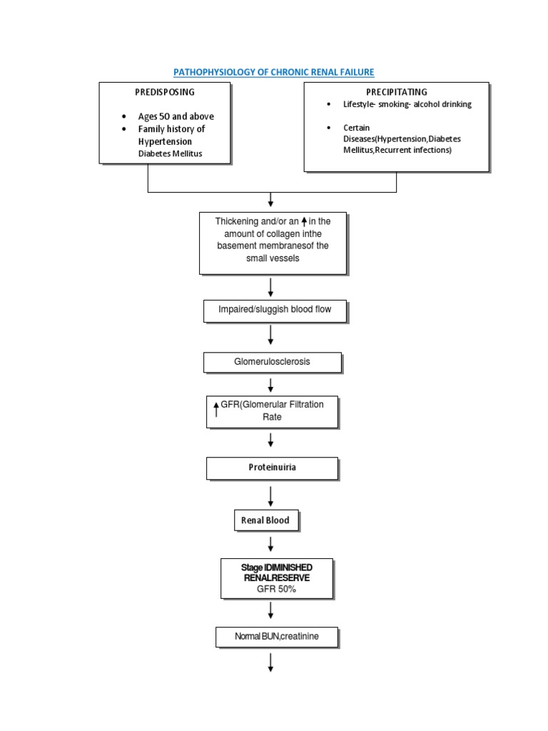 Pathophysiology of Chronic Renal Failure | PDF