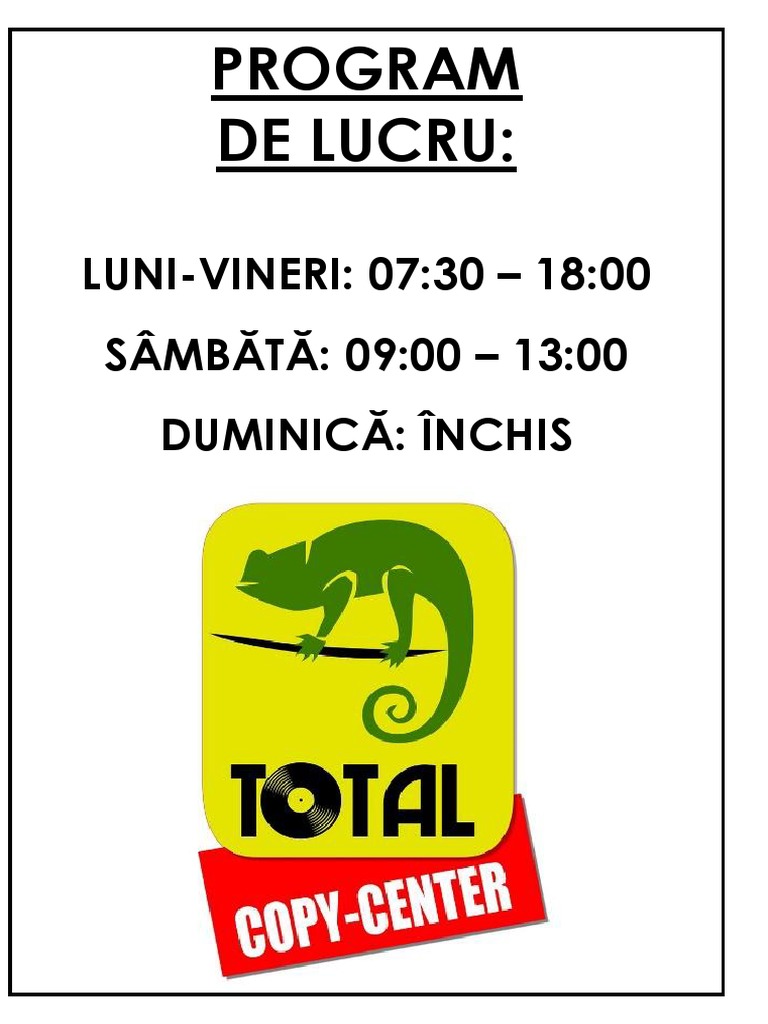 Program de Lucru | PDF