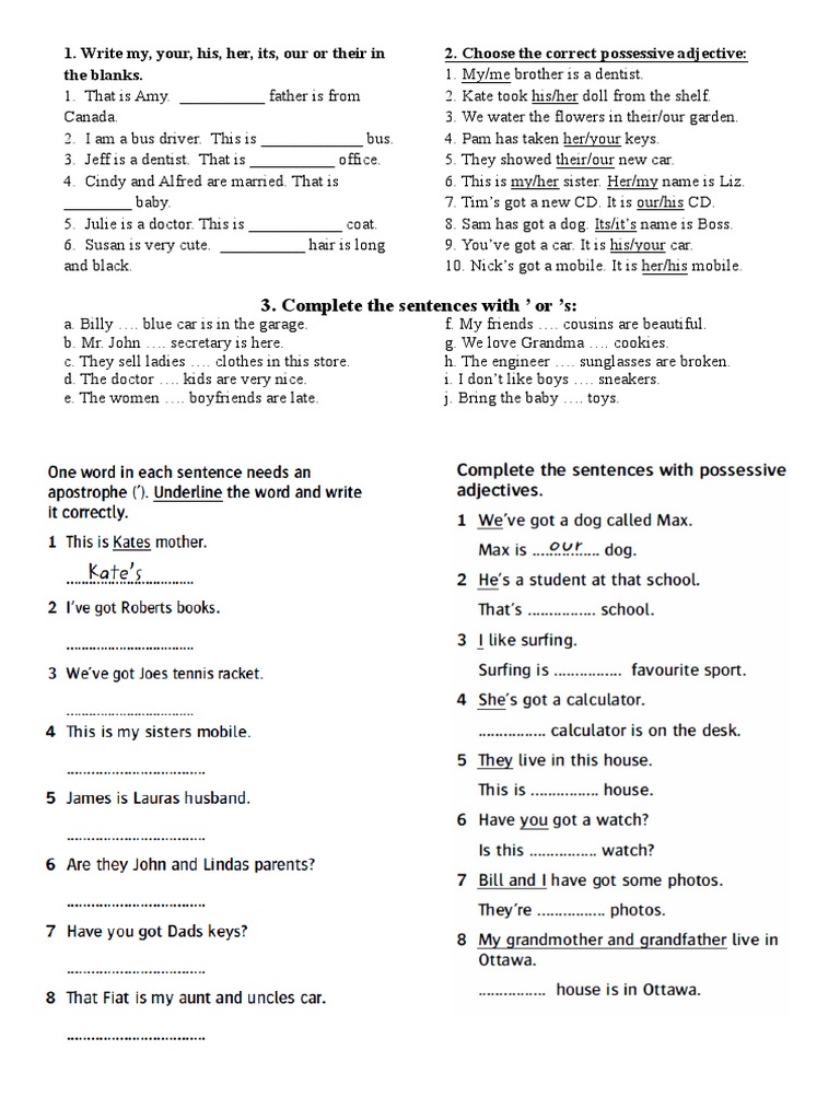 Possessive Adjectives and Apostrophes Exercises | PDF