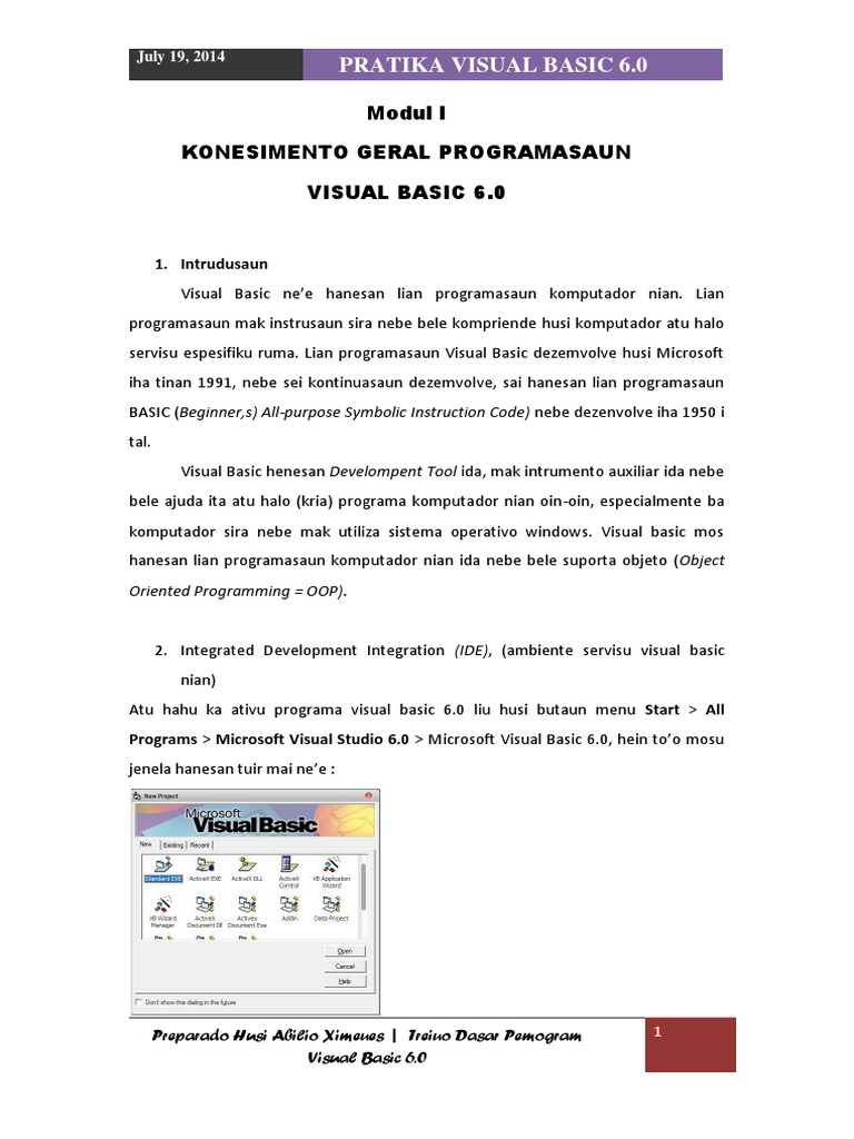 Guía Práctica Visual Basic 6.0 | PDF