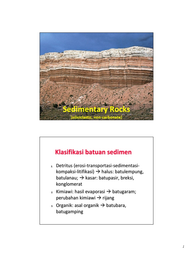 Klasifikasi dan Proses Batuan Sedimen | PDF | Sains & Matematika