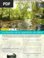 Definición y Recomendaciones de Zonas Ribereñas | PDF | Zona ribereña ...