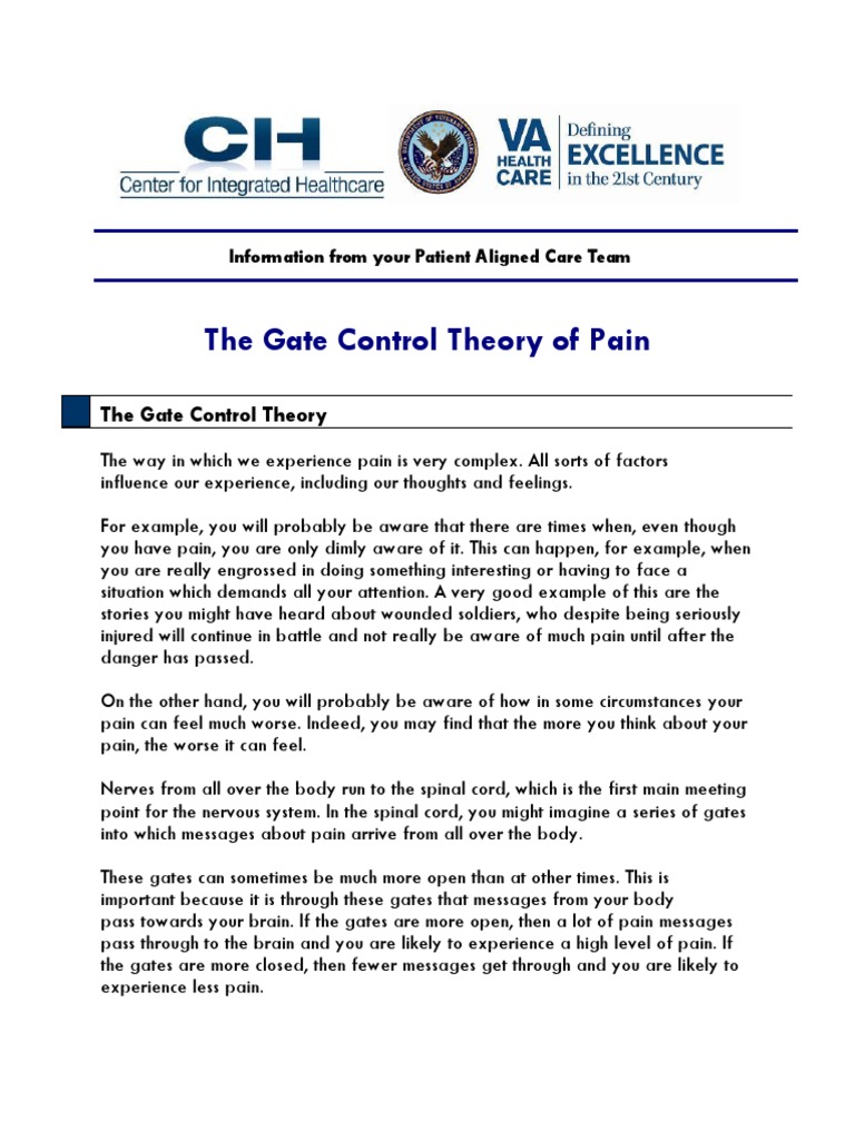 Gate Control Theory of Pain Version 3 | Pain | Peripheral Neuropathy