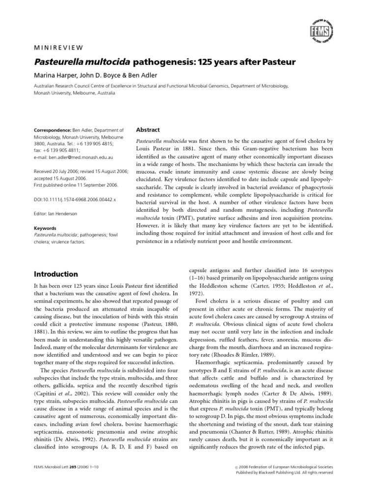 Pasteurella Multocida Pathogenesis | PDF | Lipopolysaccharide | Immune ...