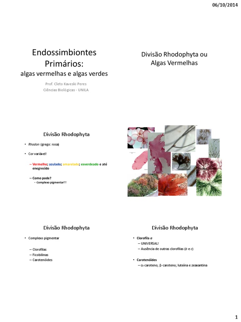 Tema 6 - Algas Vermelhas e Algas Verdes PDF | PDF | Algas | Parede celular