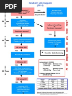 MR. SOPA Steps in Neonatal Resuscitation | PDF | Breathing ...