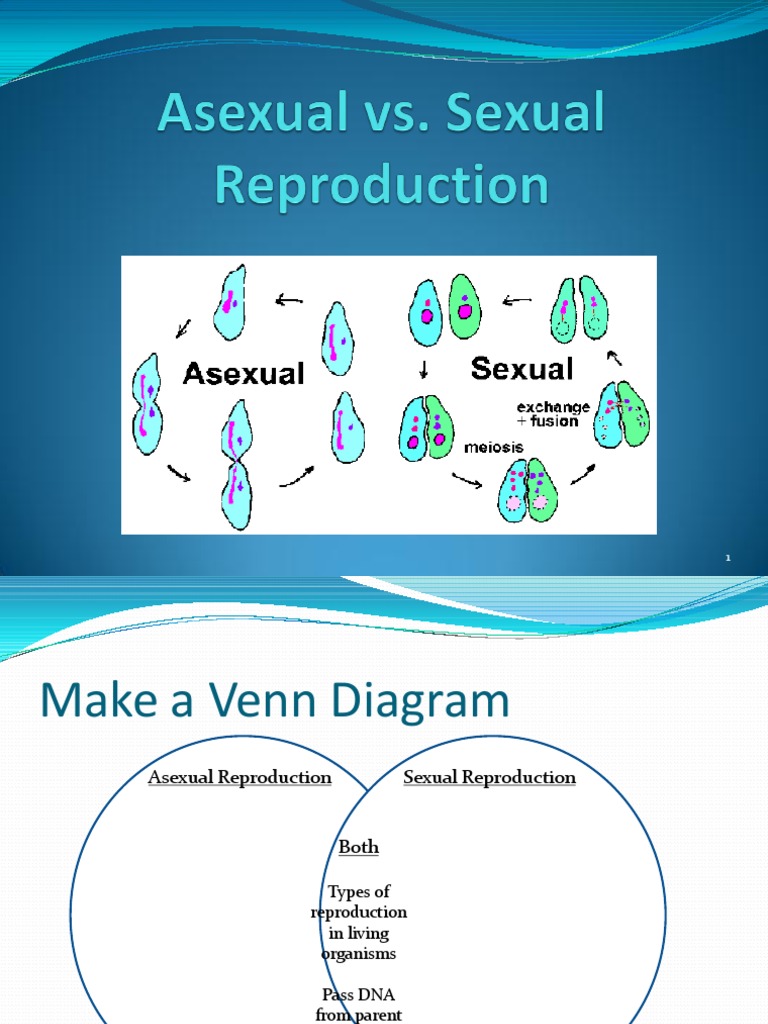Asexual vs Sexual Reproduction PowerPoint | Sexual Reproduction ...
