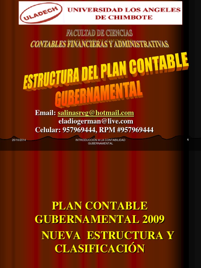 Estructura Del Plan Contable Gubernamental | PDF | Contabilidad | Presupuesto