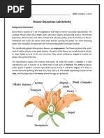 Grade 6 Science Revision Notes | PDF | Flowers | Force