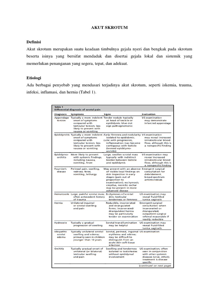 Akut Skrotum Ayu | PDF