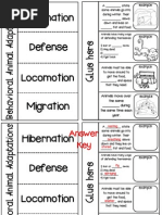 Pizza Box Book Report Instructions | PDF | Paragraph
