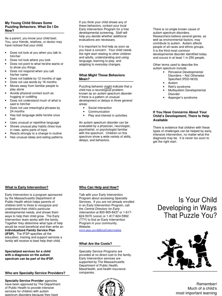 Brochure Example 1 | PDF | Autism | Spectrum Disorder