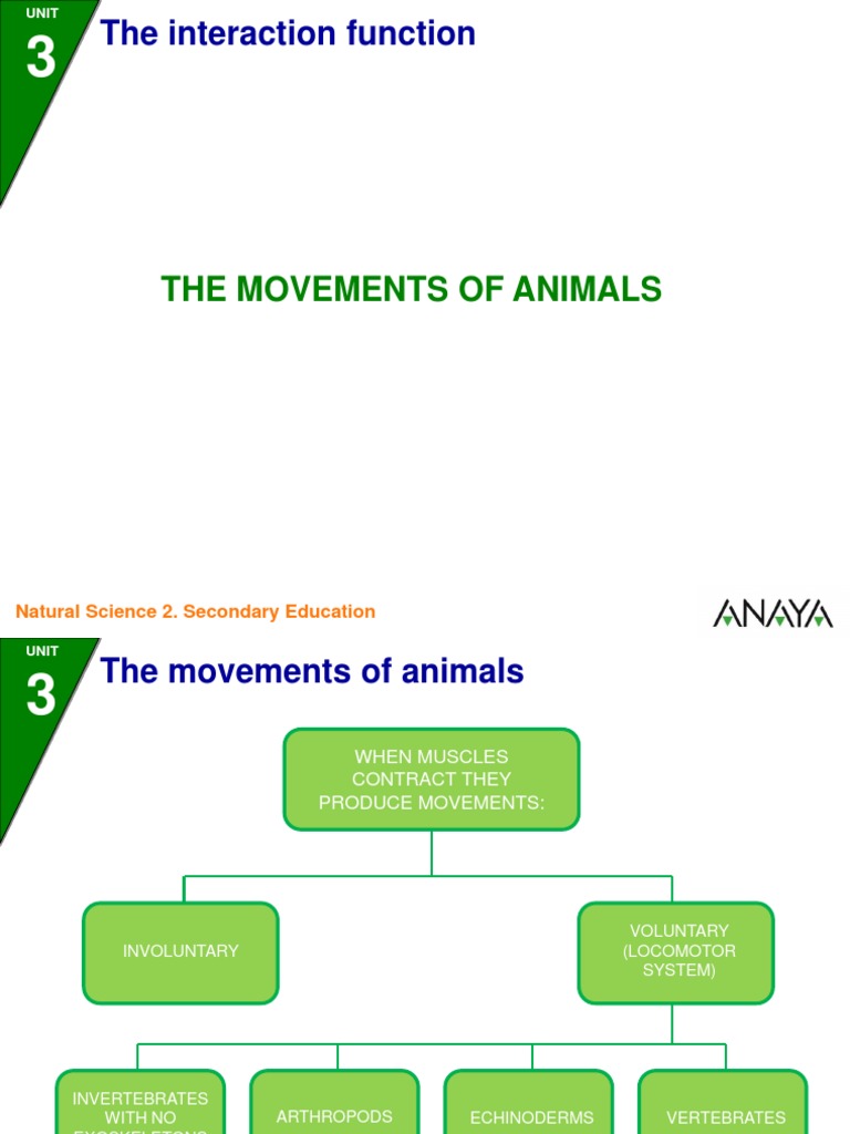 Movements Animals | PDF | Animal Locomotion | Human Musculoskeletal System