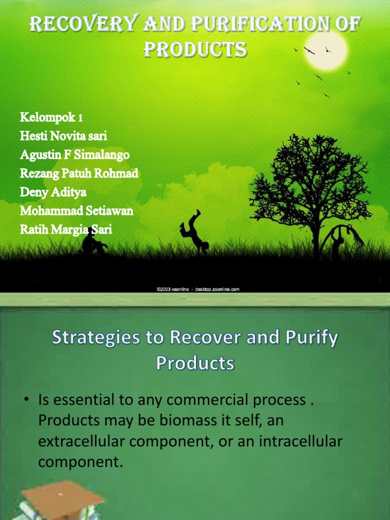Fermentation Product Recovery Methods | PDF | Filtration | Water ...