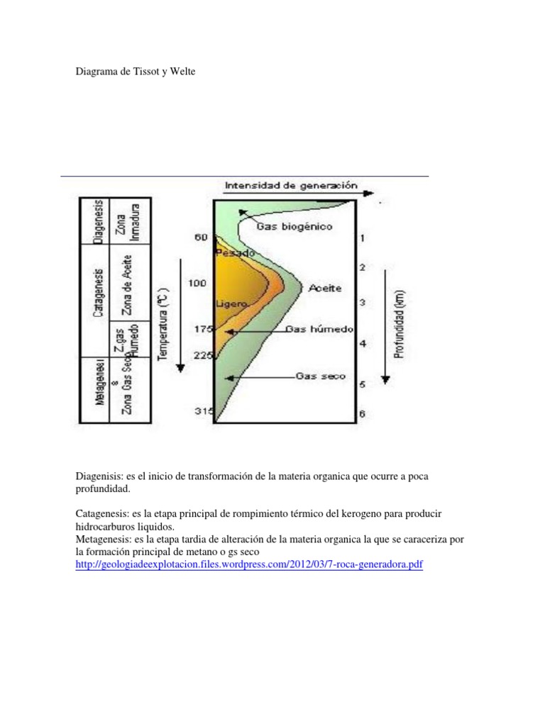 Las etapas de la diagenesis, catagenesis y metagenesis en la formación ...