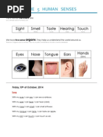 My Five Senses Labels | PDF